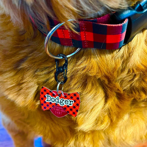 Checker Pet Tag - Customizable Dog ID With Retro Checkerprint Theme ...