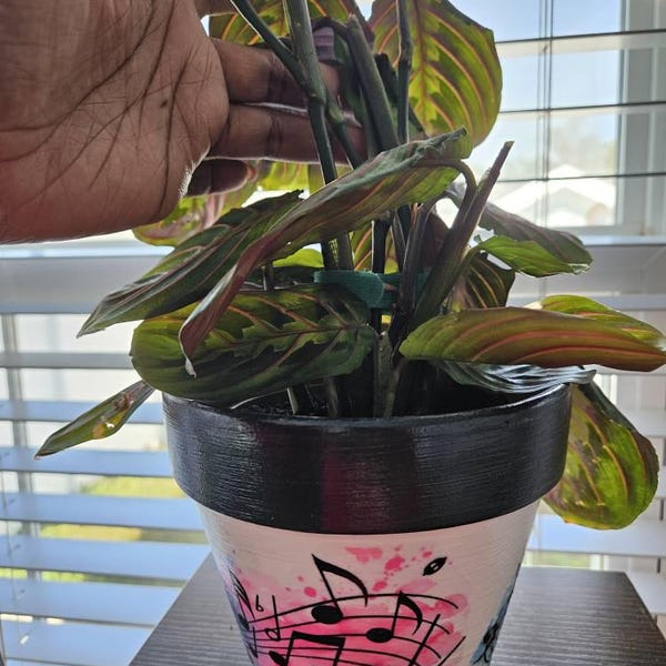 Music Notes Planter: Decoupage Flower Pot, 6", Music Gifts - Etsy