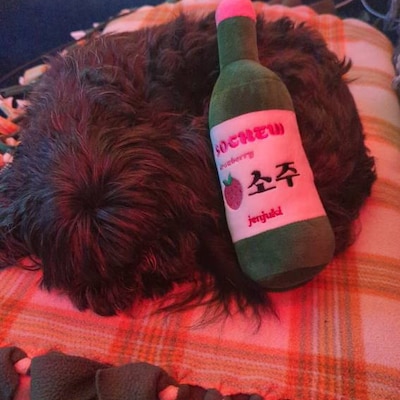 Sochew soju Bottle Dog Plush Toys With Squeaker Strawberry Grape Mango ...