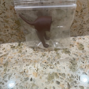 Stool Sample Funny Prank Gift Idea - Etsy