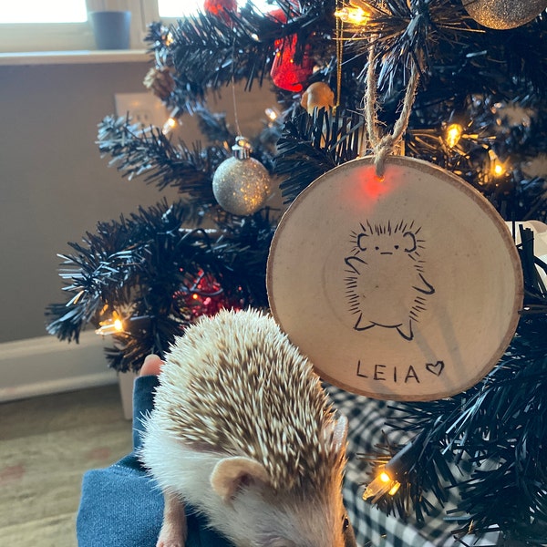Personalized Hedgehog, Hedgehog, Personalized Hedgehog Name, Hedgehog ...