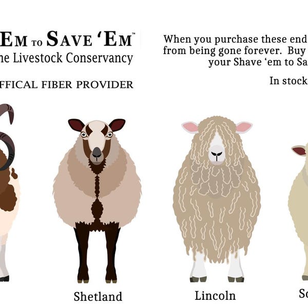 8 Bear Breeds Bundle, Png, Ai, Pdf - Etsy