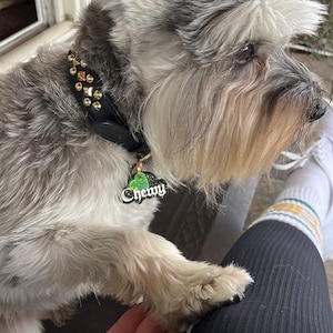 Unique Gothic Pet ID Tags With 'microchipped' Charm, Custom Dog Tag ...