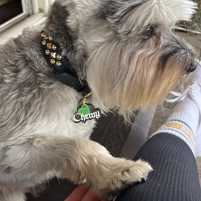 Unique Gothic Pet ID Tags With 'microchipped' Charm, Custom Dog Tag ...