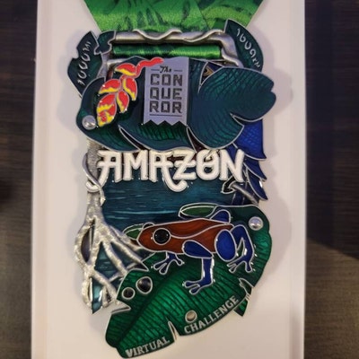 Medal Display Frame Conqueror Challenge Medals Wall Display for Awards ...