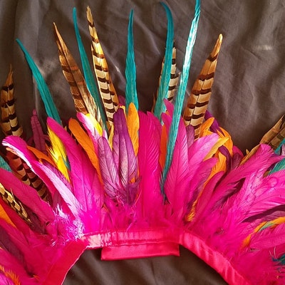 Extra Long Feathers, 10 Pieces 16-18 Natural Reeves Venery Pheasant ...