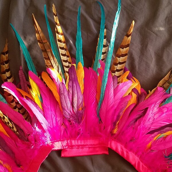 Extra Long Feathers, 10 Pieces - 16-18" Natural Reeves Venery Pheasant ...