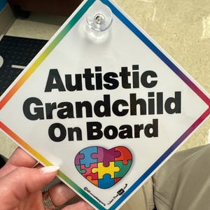 Black Labrador on Board Car Sign, Black Lab on Board Sign, Fur Baby ...