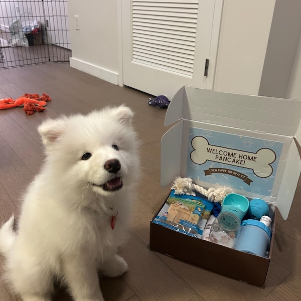 Welcome Home Dog Gift Box – New Puppy Survival Kit and Dog Adoption ...