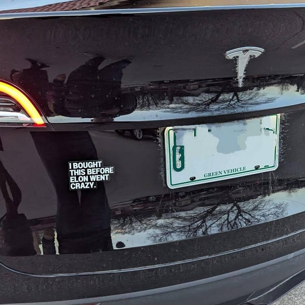 Tesla Owner Bumper Sticker, I Bought This Before ELON WENT CRAZY, Tesla ...