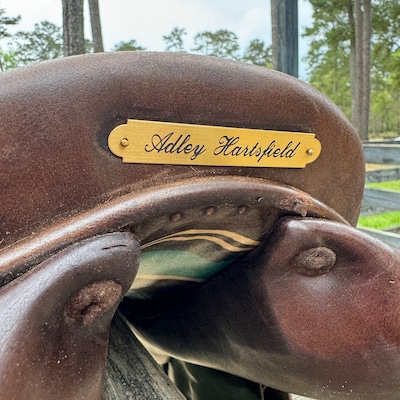 Custom Engraved SILVER Tack, Bridle, Martingale Plate - Etsy