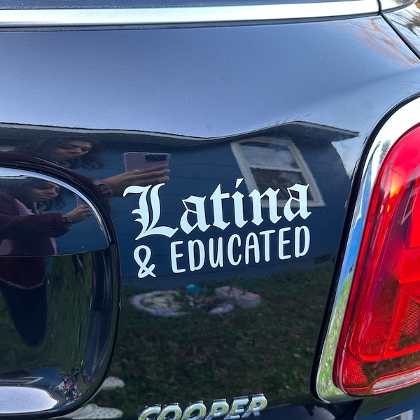 Wasted Paychecks Car Decal Art Bumper Sticker Decor Truck Window ...