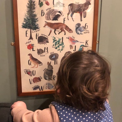 Ocean Animal Alphabet Alphabet Poster Print Wall Art - Etsy