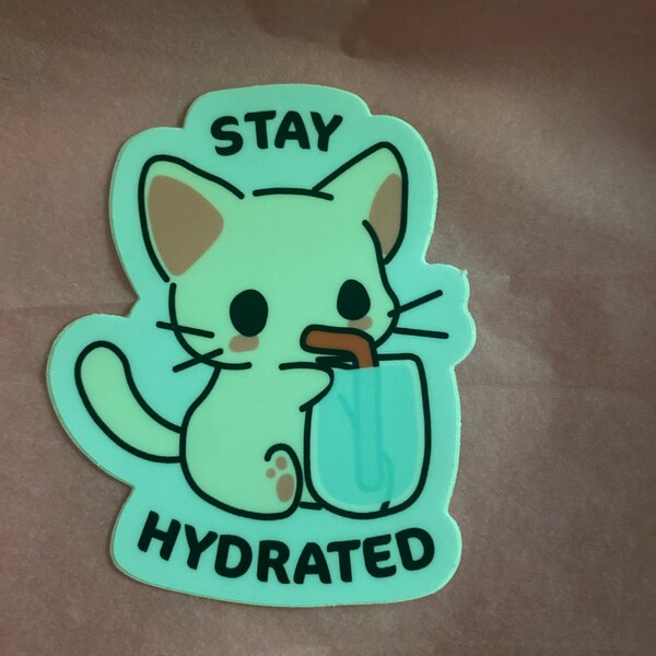 Stay Hydrated Matte Vinyl Sticker, Water Bottle Sticker, Car Decal ...