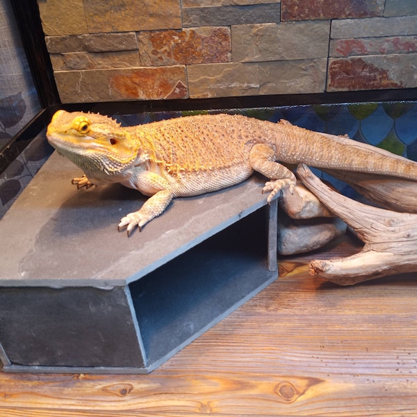 Slate Cave Hide 10x10x4.5" for Fish, Snake, Reptile, Turtle, Bearded ...