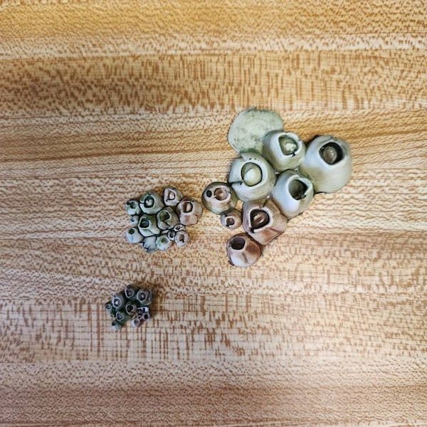 Ghost Gal, Light Up, Ghost, Diorama, Haunting, Pet Ghost, Ghost Jar ...