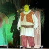 Special FX Makeup - Theatrical Makeup - Shrek the Musical - Shrek Latex ...