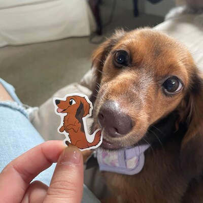 American Cocker Spaniel Sticker Chibi Puppy Dog Vinyl - Etsy