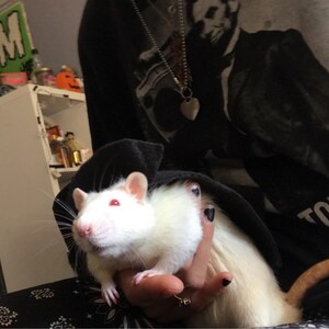 Jack O' Lantern Cape Costume for Pet Rats Orange Cape | Etsy