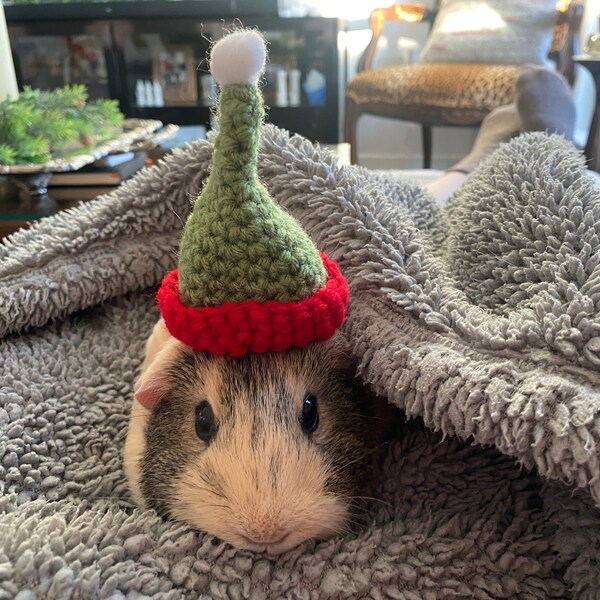 Crochet Elf Hat for Small Pets: Handmade Guinea Pig, Hamster, Cat ...