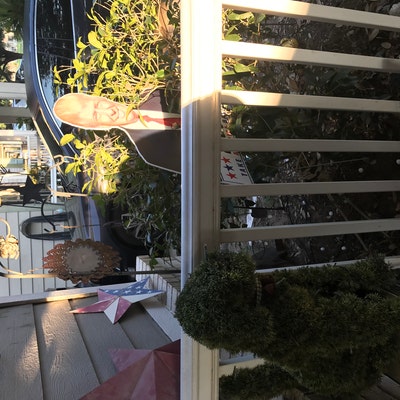 For Cars Stand Out On The Road With Perforated Window Vinyl ...