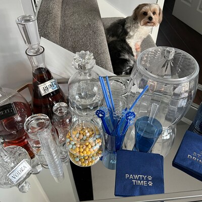 Cape Cod Champagne Gold Acrylic Swizzle Sticks Tall & Short - Etsy