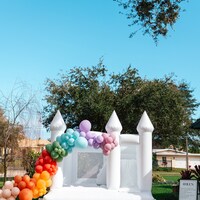 Mountain Ash Balloon Garland Kit / Eucalyptus Balloon Arch, Sage Blush ...