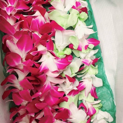 Hawaiian Lei Fresh Purple Orchid Lei, Real Flower Lei, Shipped Fresh ...