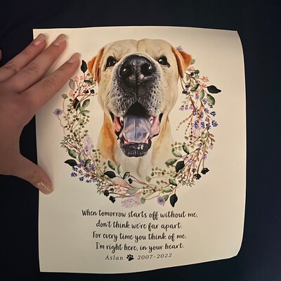 Personalized Pet Memorial Portrait Pet Keepsake Dog - Etsy