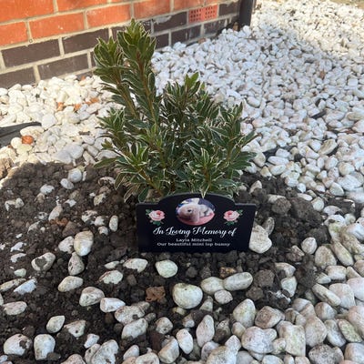 Personalised Celebration Birthday Engravable Butterfly 21st Key - Etsy UK