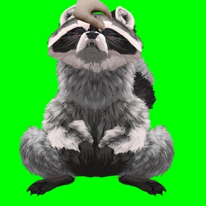 Grizzly Bear Vtuber Avatar Full Body/fully Rigged Live2d Model - Etsy
