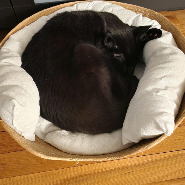 Cat Scratching Post With Recycled Cardboard Inserts - Adjustable ...