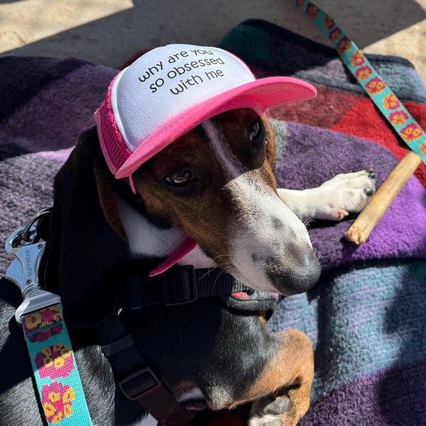 Personalized Photo Slate, Custom Photo Slate, Photo Rock Slate ...