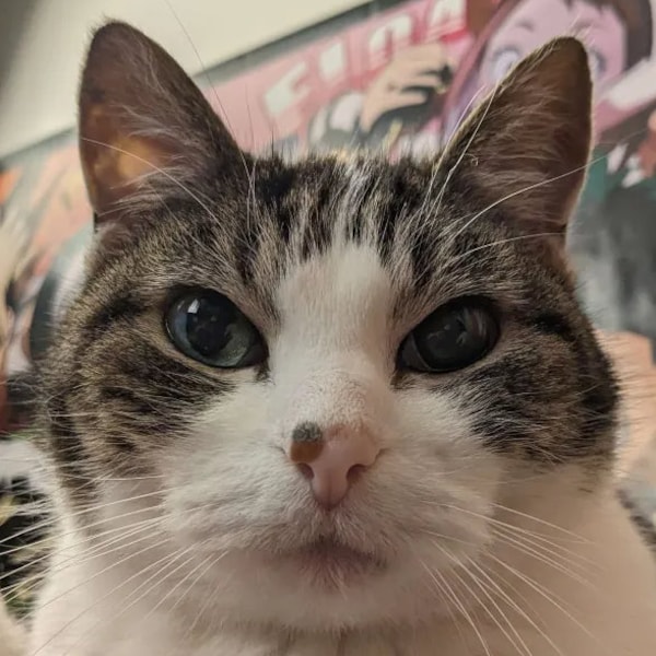 4x DARK RETRO Animated Waiting Screens Computer Style - Etsy