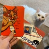 USPS (pspspsps!) Postcards / Funny Cat Postcards to #saveusps - Etsy