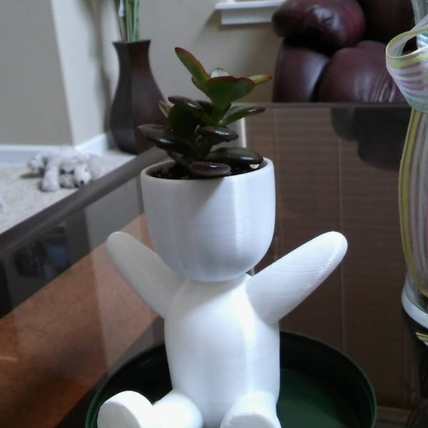 Fat Figure Planter | Planter | Desk Planter | Planter Pot | Gift ...