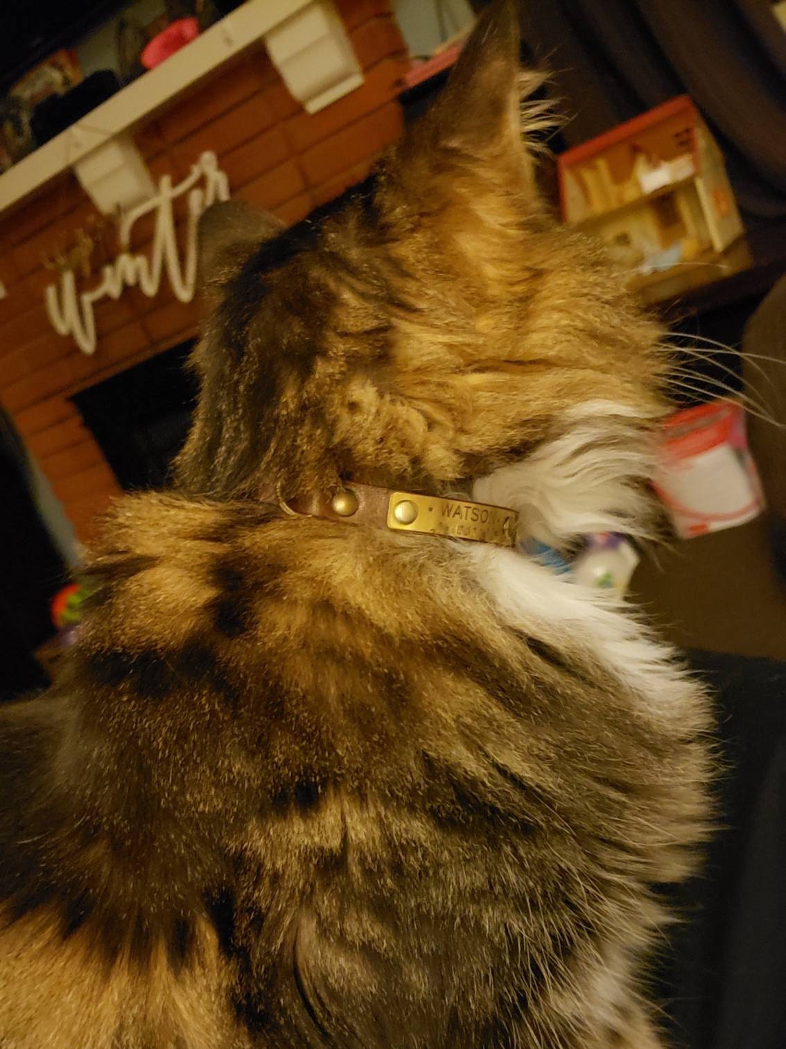 Cat collar, leather cat collar, Crazy horse collar, personalized cat ...