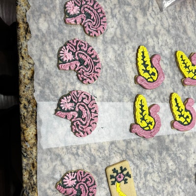 Anatomical Brain Cookie Cutter Heart Cookies Cutters Biscuit Cutter ...