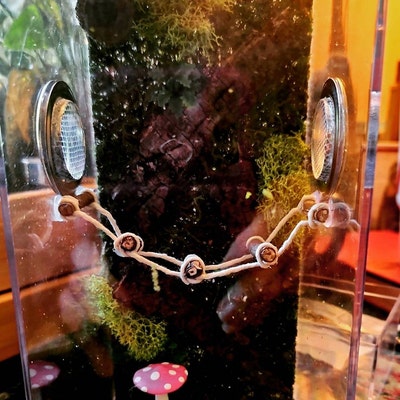 6.5x13 EXTRA LARGE LUXURY Adult Jumping Spider Enclosure, Decorated ...