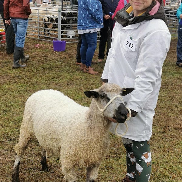 Sutton Natural Rope - 100% British Wool - Etsy UK