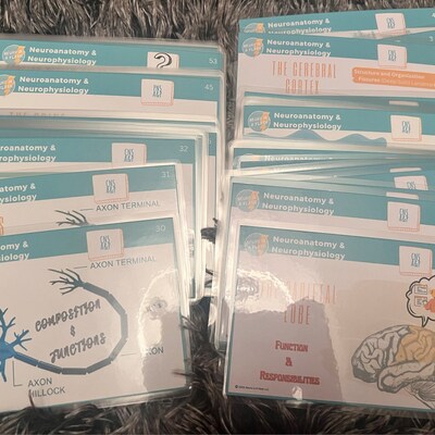 EEG Flashcards intro to Eeg Deck Electroneurodiagnostic Study Guide ...