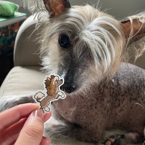 American Cocker Spaniel Sticker Chibi Puppy Dog Vinyl - Etsy