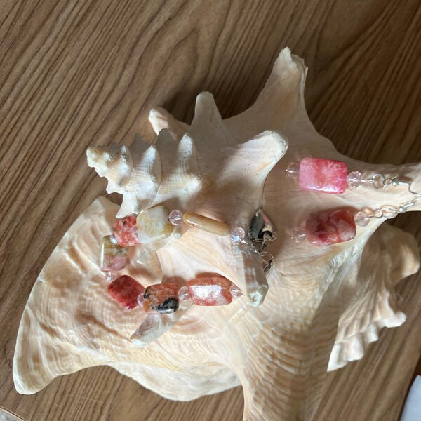 Seashells, Variety From Sanibel Captiva Islands Includes Scallops ...