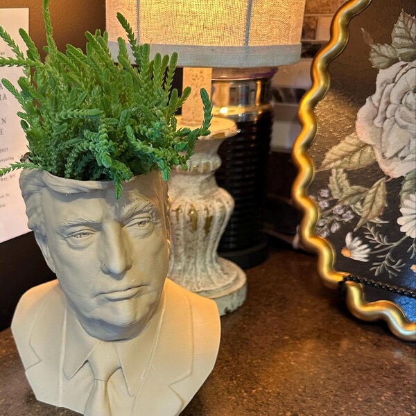 Travis Scott Succulent Planter Pot, Unique Celebrity Face Plant Holder ...