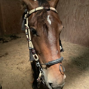 Handmade Bosal Set 40 Plaits Rawhide Natural Bosal Set Bosal - Etsy