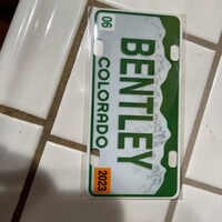 Mini State License Plates - Etsy