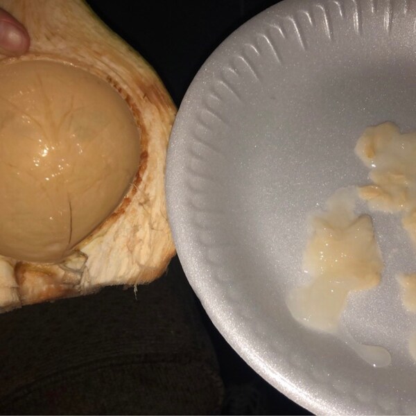 PRICE CUT Whole Young Coconut/ AGUA De Coco - Etsy