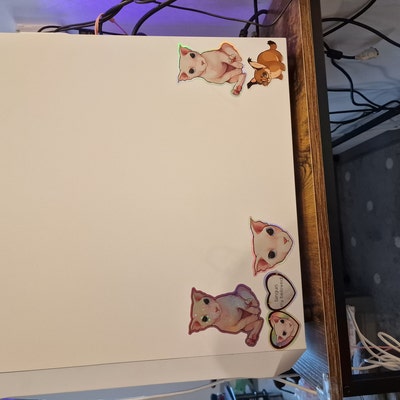 Bingus My Beloved Meme Cat Large Holographic Sticker - Etsy