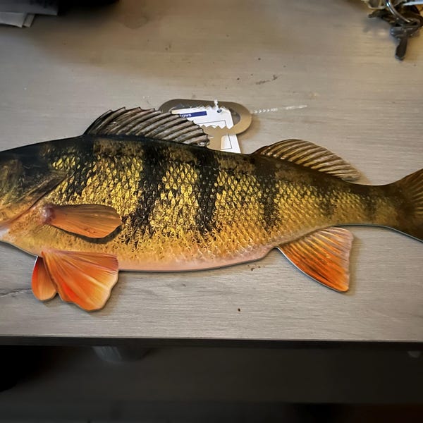 14 Inch Jumbo Perch Wall Replica - Etsy