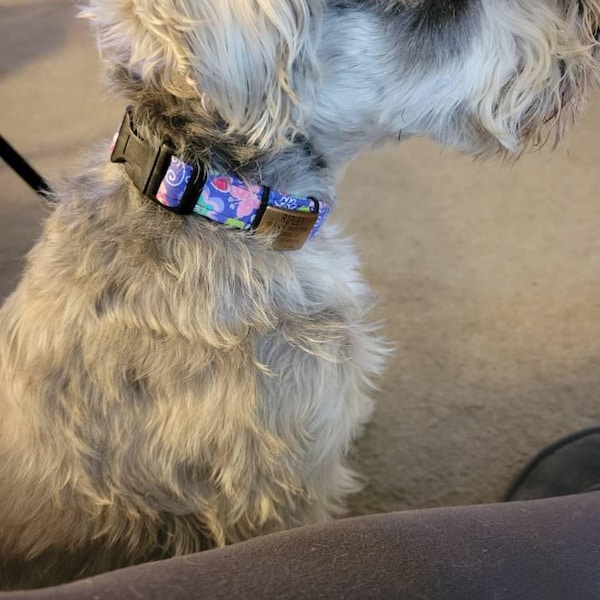 Daki's Harness, Handmade Harness for Dogs, Fabric Harness for Dogs ...